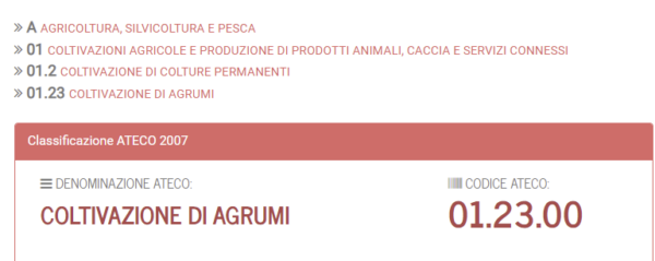 I codici NAICS e NACE e le analisi di mercato
